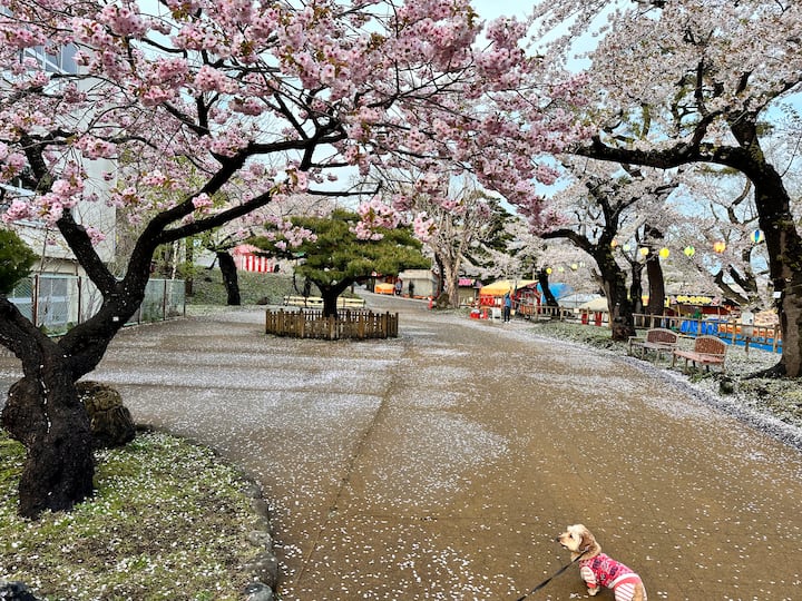 Pet Friendly! 148㎡/4br! Free Parking! Group Stay. - Hakodate