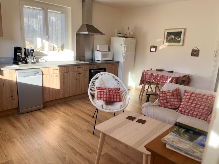 Massif Sancy, Appt Lumineux, Espace Pleine Nature - Saint-Nectaire