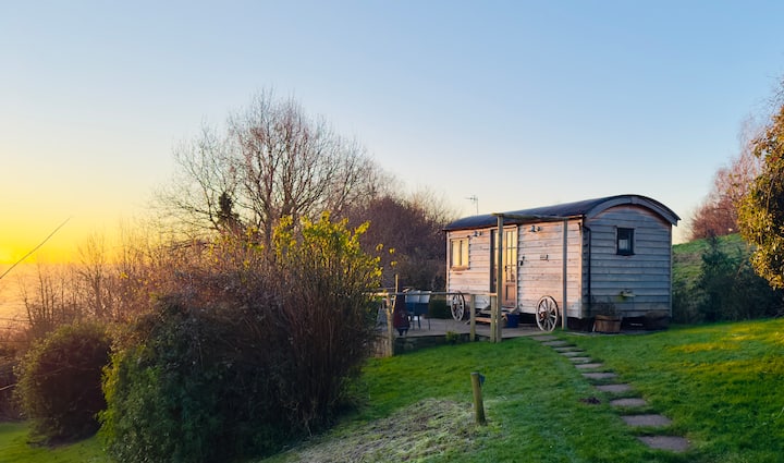 A Shepherds View - Forest of Dean