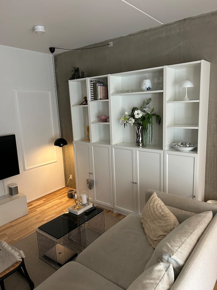 Central Og Hyggelig Lejlighed I ÅRhus C, Ceresbyen - Aarhus