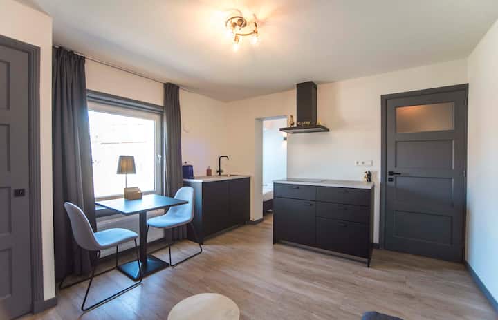 Joy At The Beach Starfish Close To The Beach And - Bloemendaal aan Zee