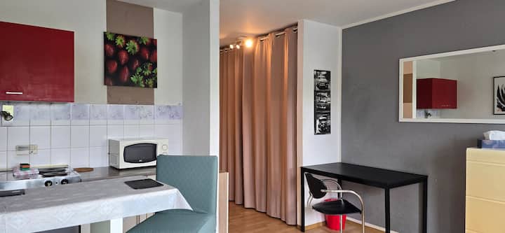 Bright 1-room Studio Near Mannheim City - Mannheim