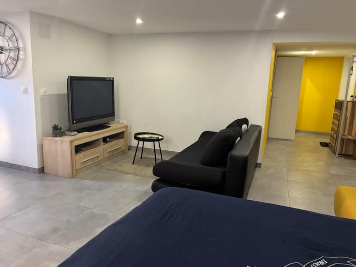 Studio Spacieux Style Loft Tout Confort - La Wantzenau