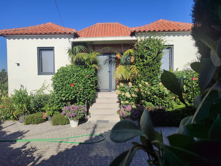 House / Field And Beach / Viana Do Castelo - Viana do Castelo