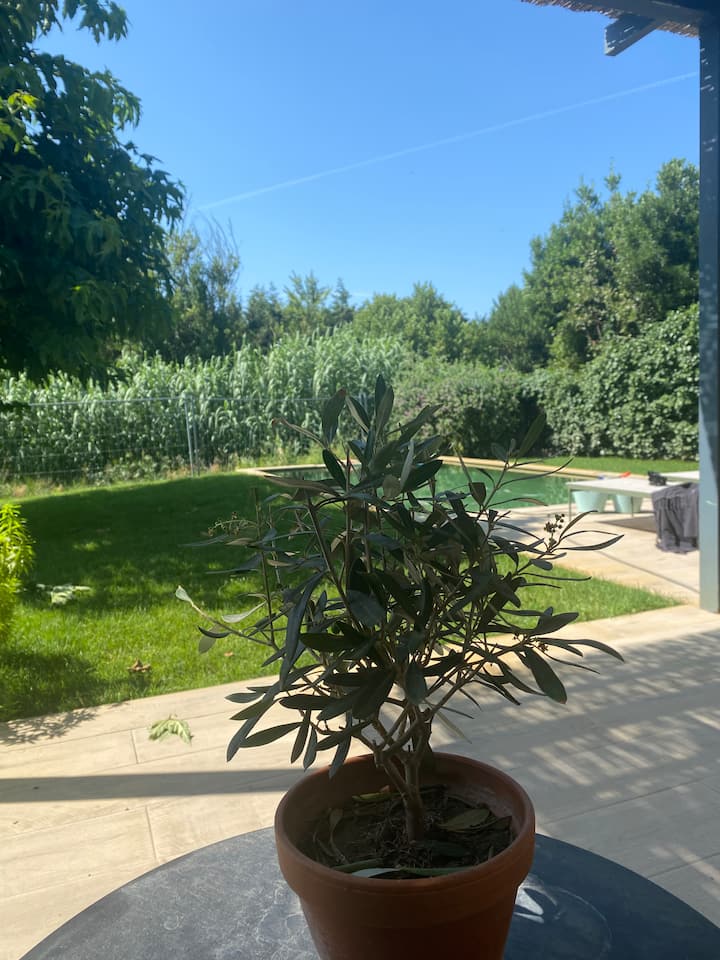 Maison Avec Piscine à Proximité Du Centre Ville - Arles
