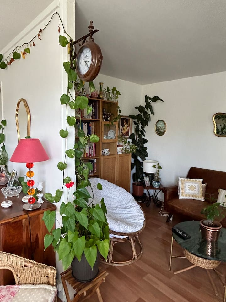 Charmant Appartement à Senlis - Senlis