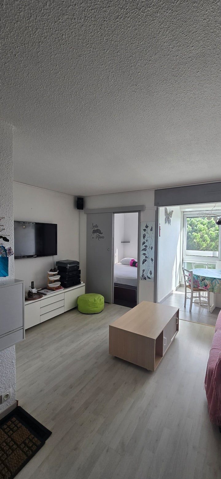 Appt  4 Pers Résidence Privée Park Piscine Plage - Agde