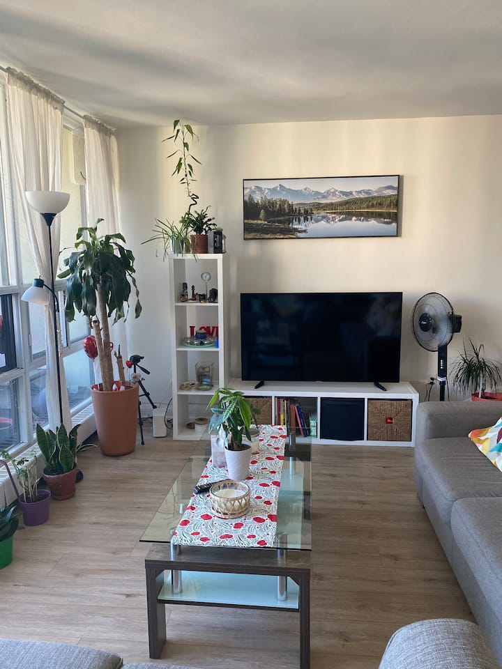 Chambre Charmante Et Moderne Dans Toronto - トロント