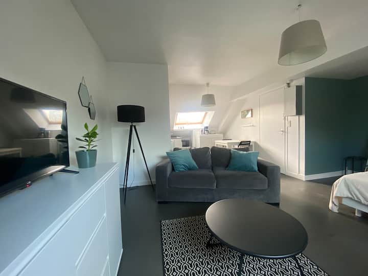 Beau Studio Avec Jardin Proche Gare /Centre Ville - Vannes