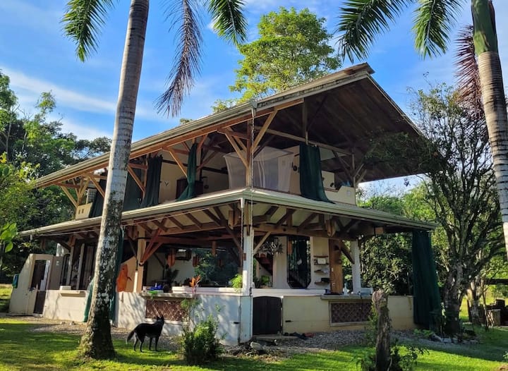 Eco Lodge Près Du Corcovado à 400m De La Plage - Costa Rica