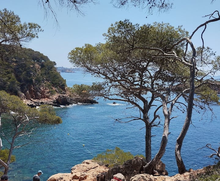 Athena: Détente Absolue Entre Ciel Mer Et Pinède - Le Castellet