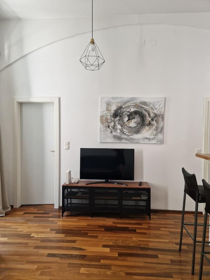 Amazing Central Apartment - Vienna