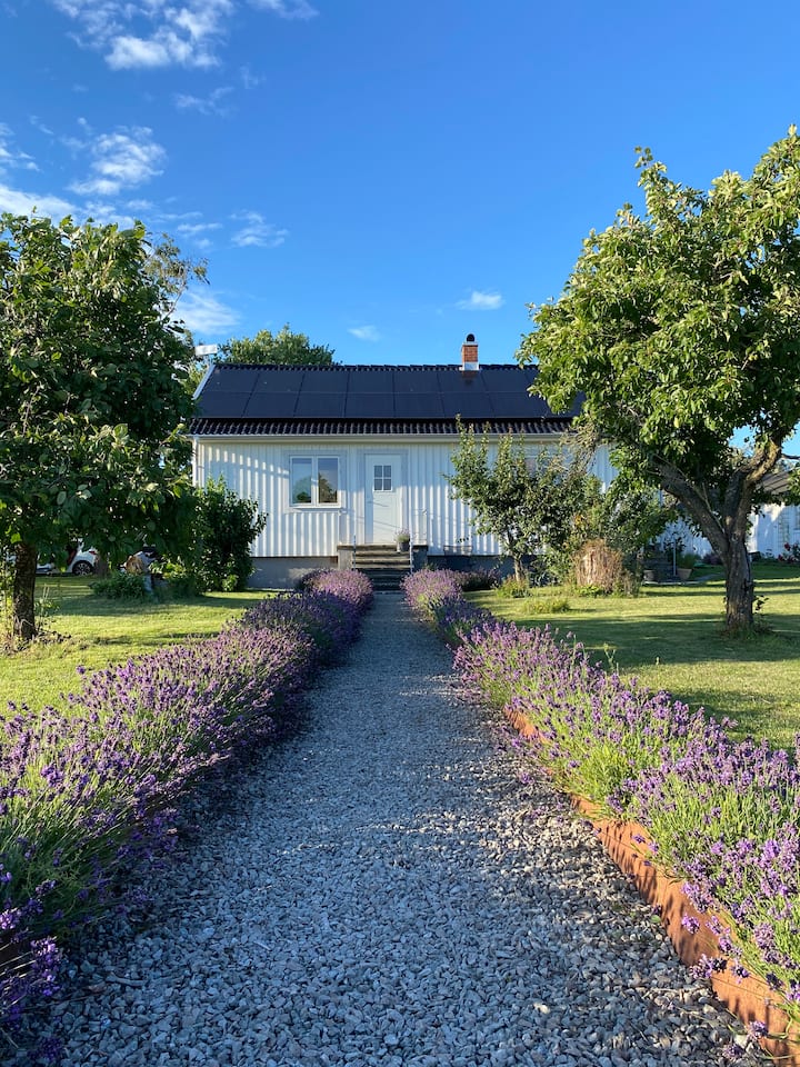 Sommarhus Med Stor Privat Trädgård - Öland