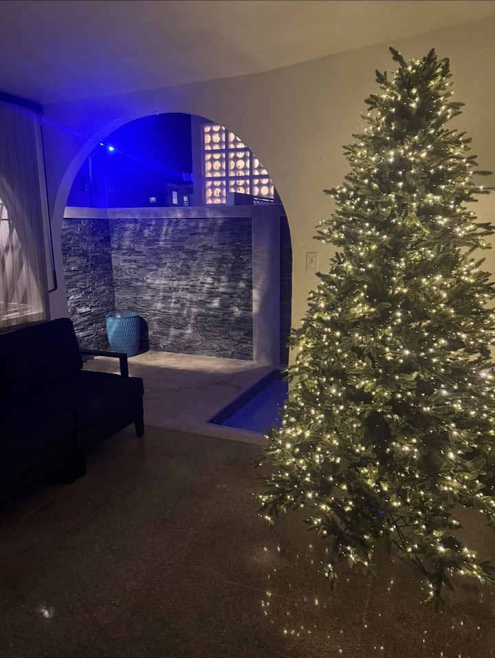 Domenechbungalow+bubbleheatedpool +Teslarentoption - Puerto Rico