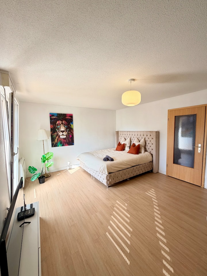 Appartement Cosy à 10 Min De Strasbourg, Bischheim - Hœnheim