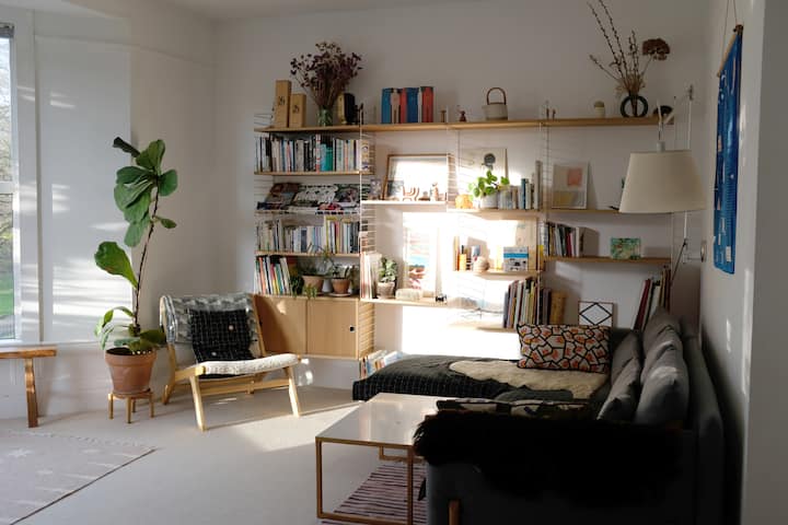 Parklife - Cornovaglia