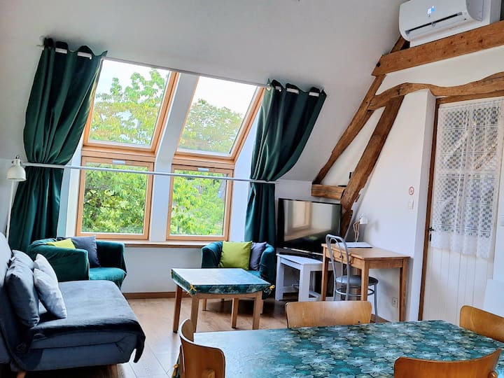 Logis Climatisé - Bucolique - Proche Chambord - Loir-et-Cher