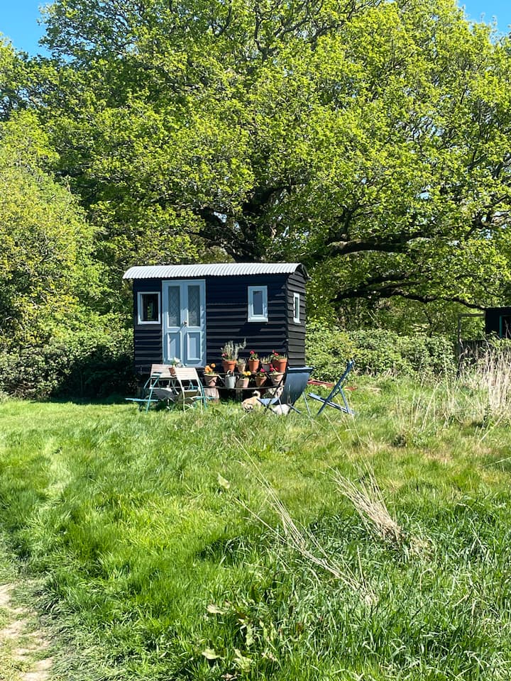 Blackbird Shepherds Hut - Uckfield