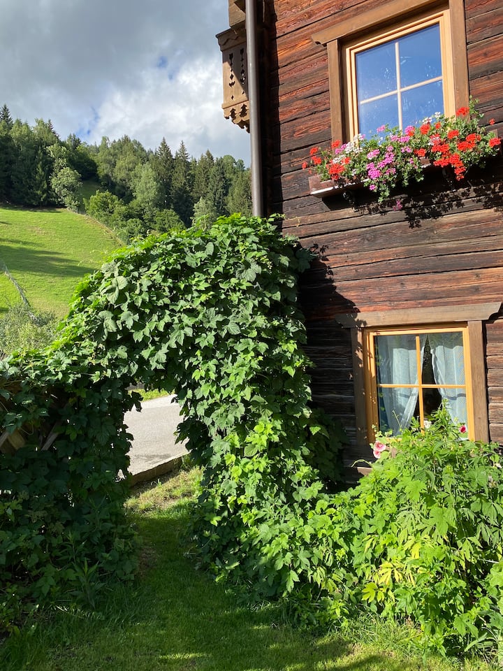 Moabauer - Kleinarl