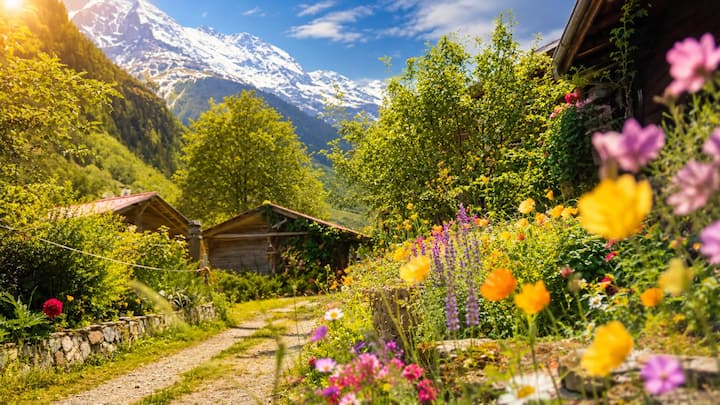 ::: Charming Farmhouse In Nature ::: - Switzerland