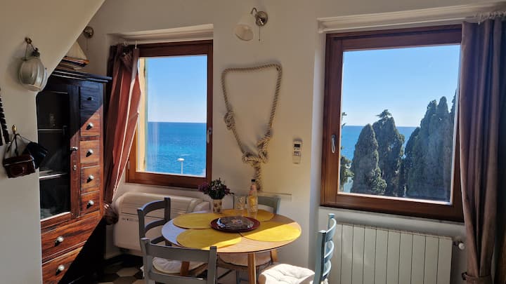 Cà Di Bacci -Sea View And Parking - Camogli