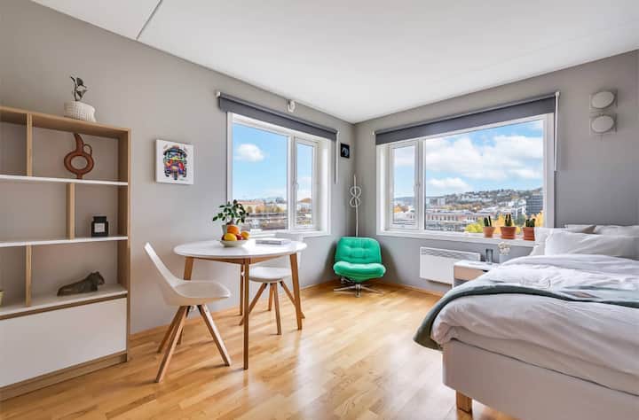 Central Studio With Stunning View - Oslo