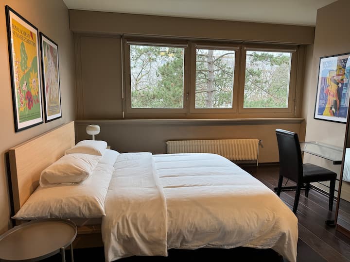 1 Bedroom With Bathroom (F) - 제네바