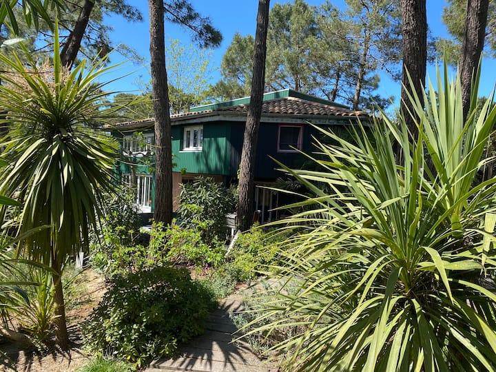 Maison Dans Les 44 Hectares à 200m Du Bassin - Cap Ferret