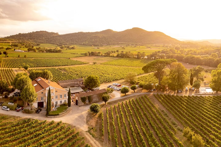 Gîte De Charme Au Milieu Des Vignes En Provence - Les Arcs sur Argens