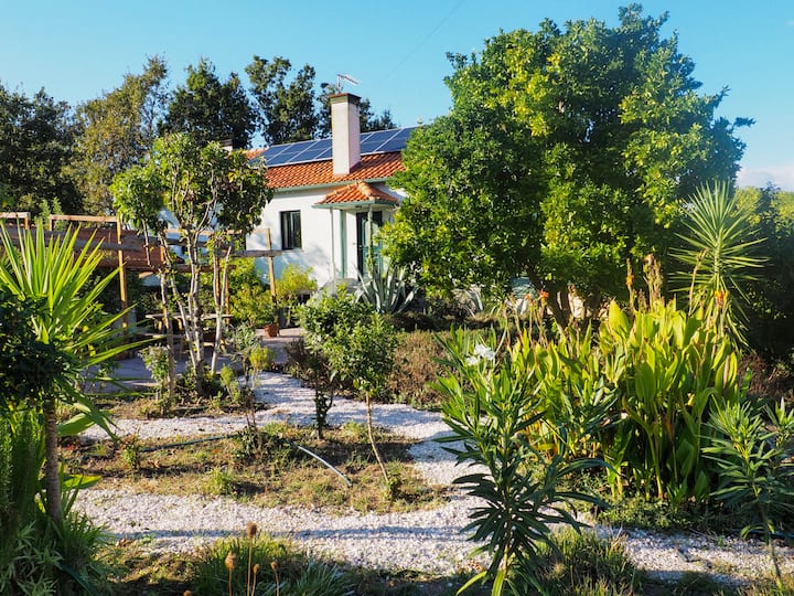 Quinta Sarnadela - Cozy House With Mountain View - Oliveira do Hospital