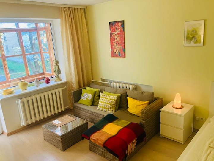 New Cozy Apartment Almost In The Centre! - Vilnius
