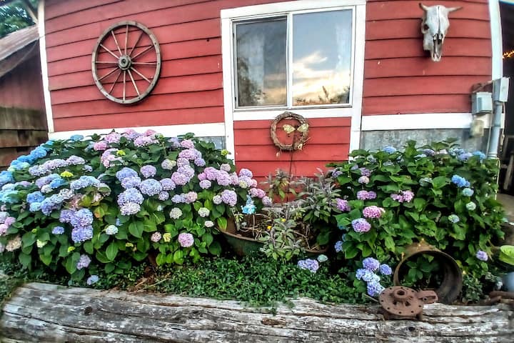 Tiny Farm Cabin  Roughing It,  Bring Your Bedding - Shelton, WA