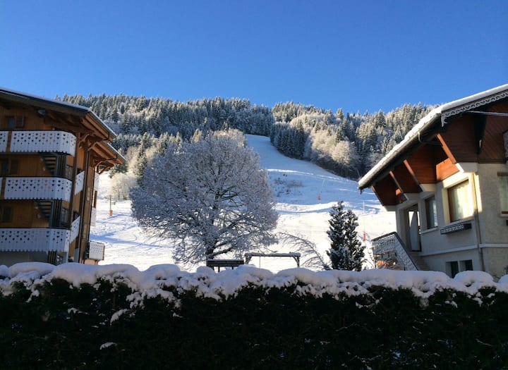 Studio Situé Au Pied Des Pistes, à 100m De L’esf. - Avoriaz