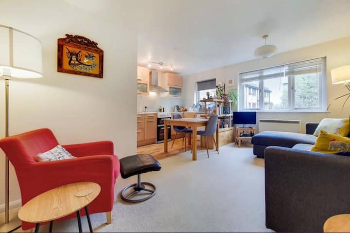 Cosy 2 Bedroom Hackney Flat- Free Parking - 赫特福德郡