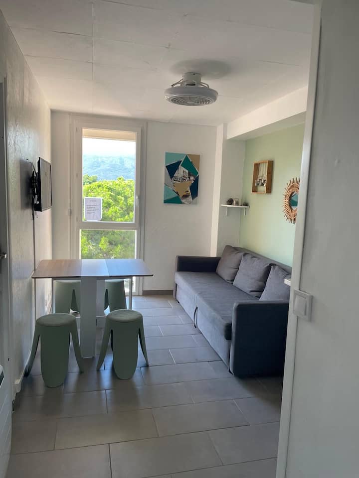 T2 En Front De Mer  à 400m Des Rues Piétonnes. - Argelès-sur-Mer