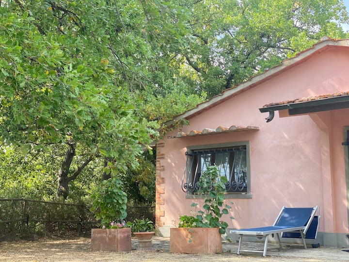 Podere Le Querci A Charming Cottage In Val D'orcia - Pienza