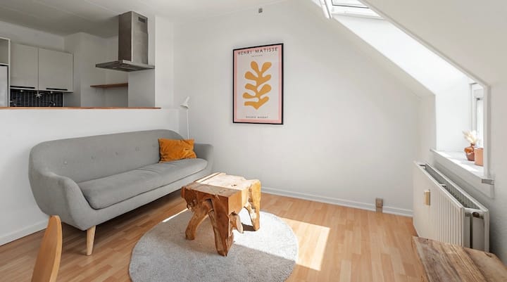Cozy And Centrally Located Appartment In Odense - Odense