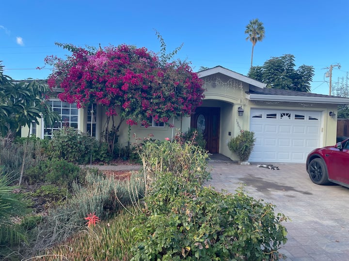 Beautiful One Bedroom In Cupertino, Bay Area - Santa Clara, CA