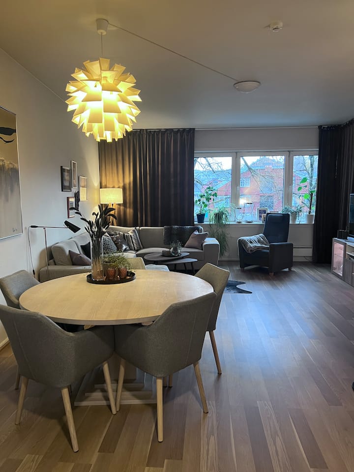 Trondheim Sentrum, Hele Leiligheten, 70 Kvm - Trondheim