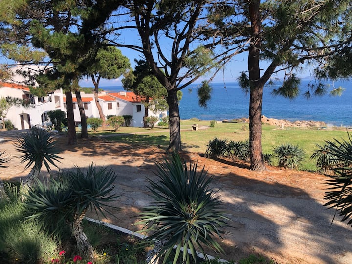 Appartement 4 Personnes  Face Mer - Calcatoggio