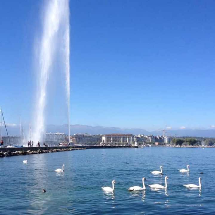 A Nice And Cozy Furnished Room In Geneva Center - Genève
