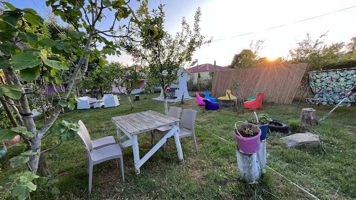 Meyveli Bahçe Evi 3 Numara - Sinop