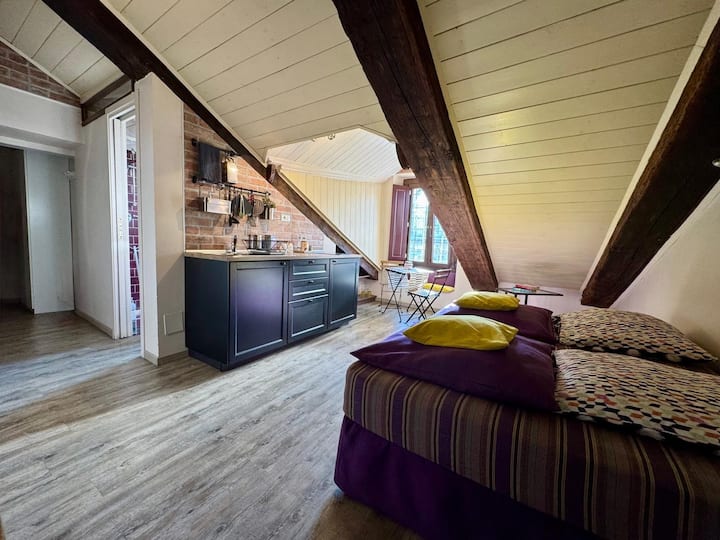 Mansarda Charmant Nel Cuore Della Città - Turin