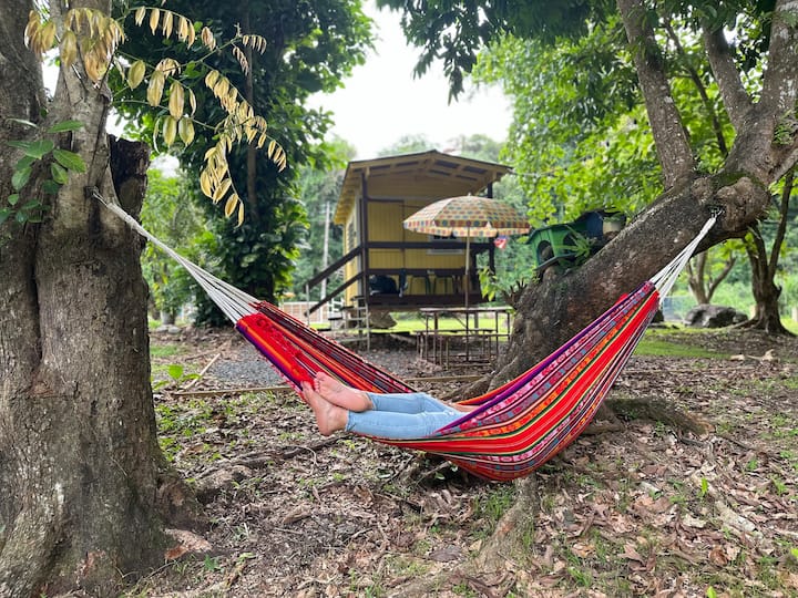 La Casita Amarilla Del Yunque - Luquillo