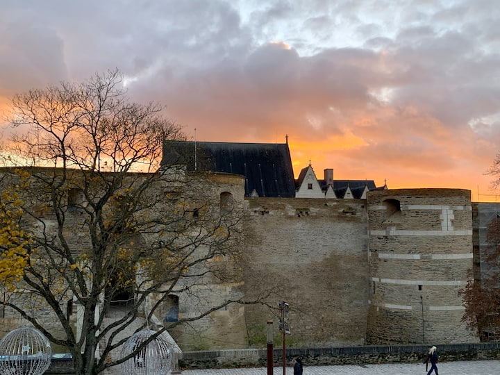 Studio Avec Vue Royale Sur Le Château D'angers - Angers