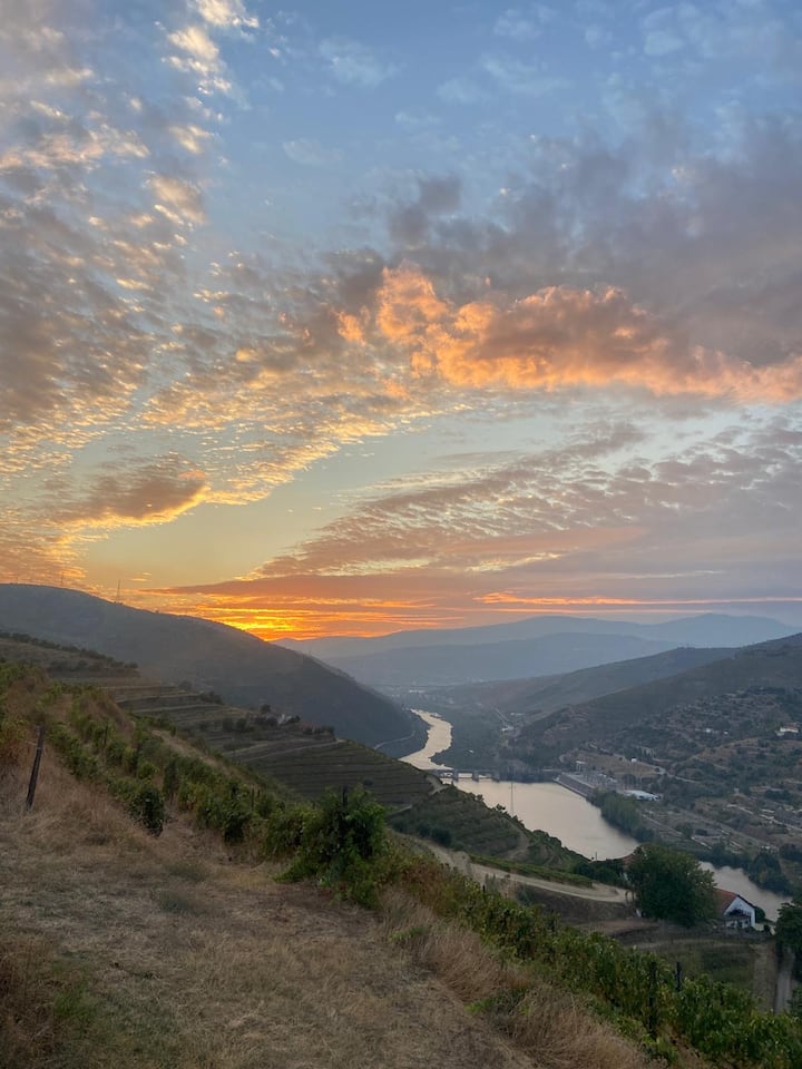 House In Organic Winery- Qta Do Vilar Douro Valley - Armamar