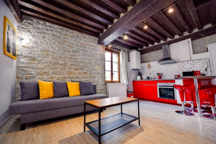 Charme Bourguignon Pierre & Poutres - Centre Dijon - Dijon