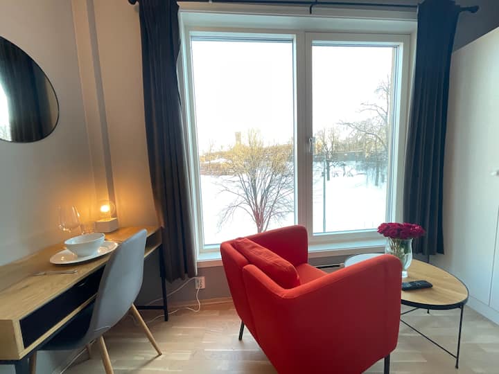 New, Quiet, Private, Window With View To A Park. - オスロ