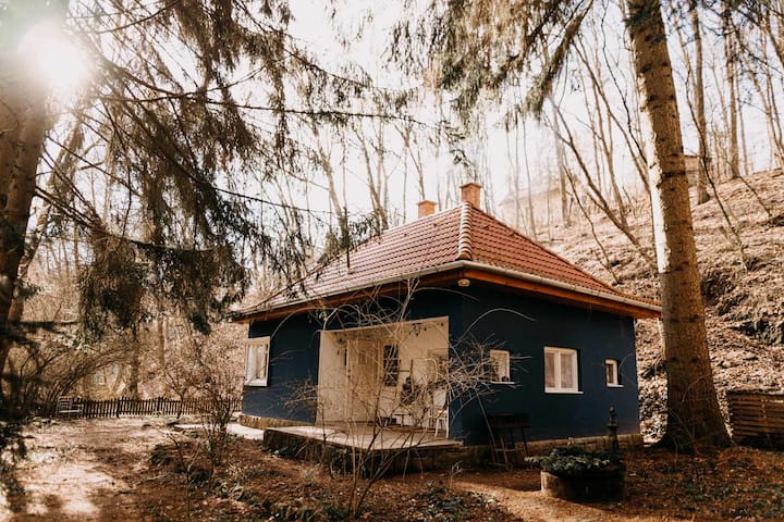 Fauna Erdei Vendégház / Fauna Guesthouse - Nagymaros