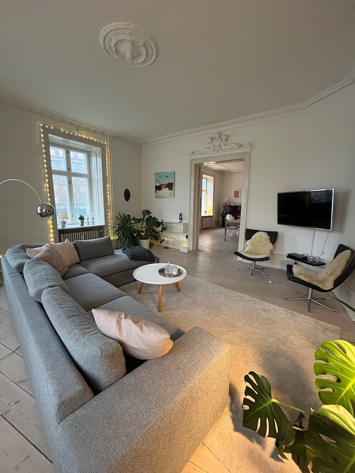 6 Bedroom City Center Appartment / 280 M2 - Copenhagen